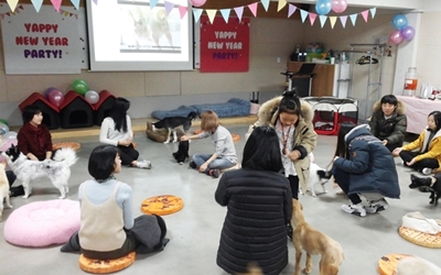 카라 : [후기] YAPPY NEW YEAR PARTY